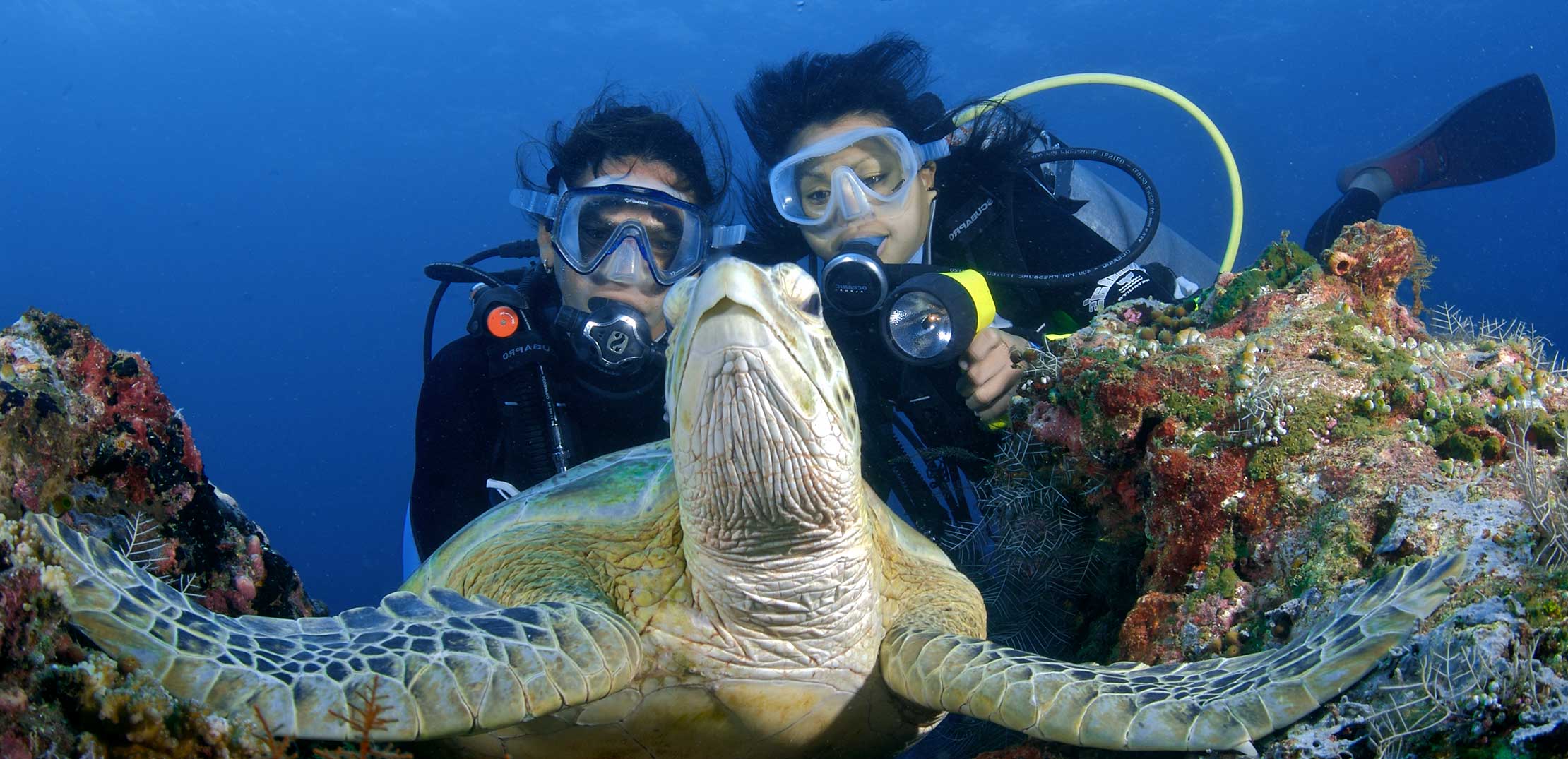 Dive With Us – Borneo Divers – Diving in Borneo, Mabul and Mamutik Island