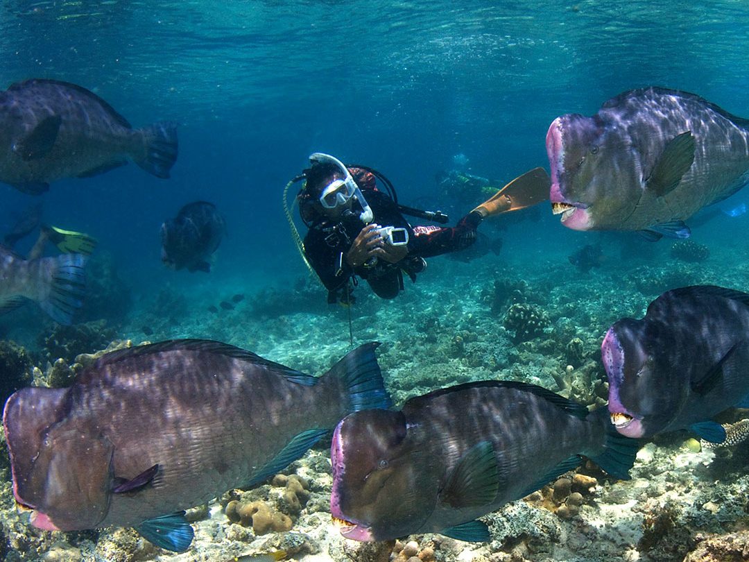 Welcome to Sabah | Borneo Divers