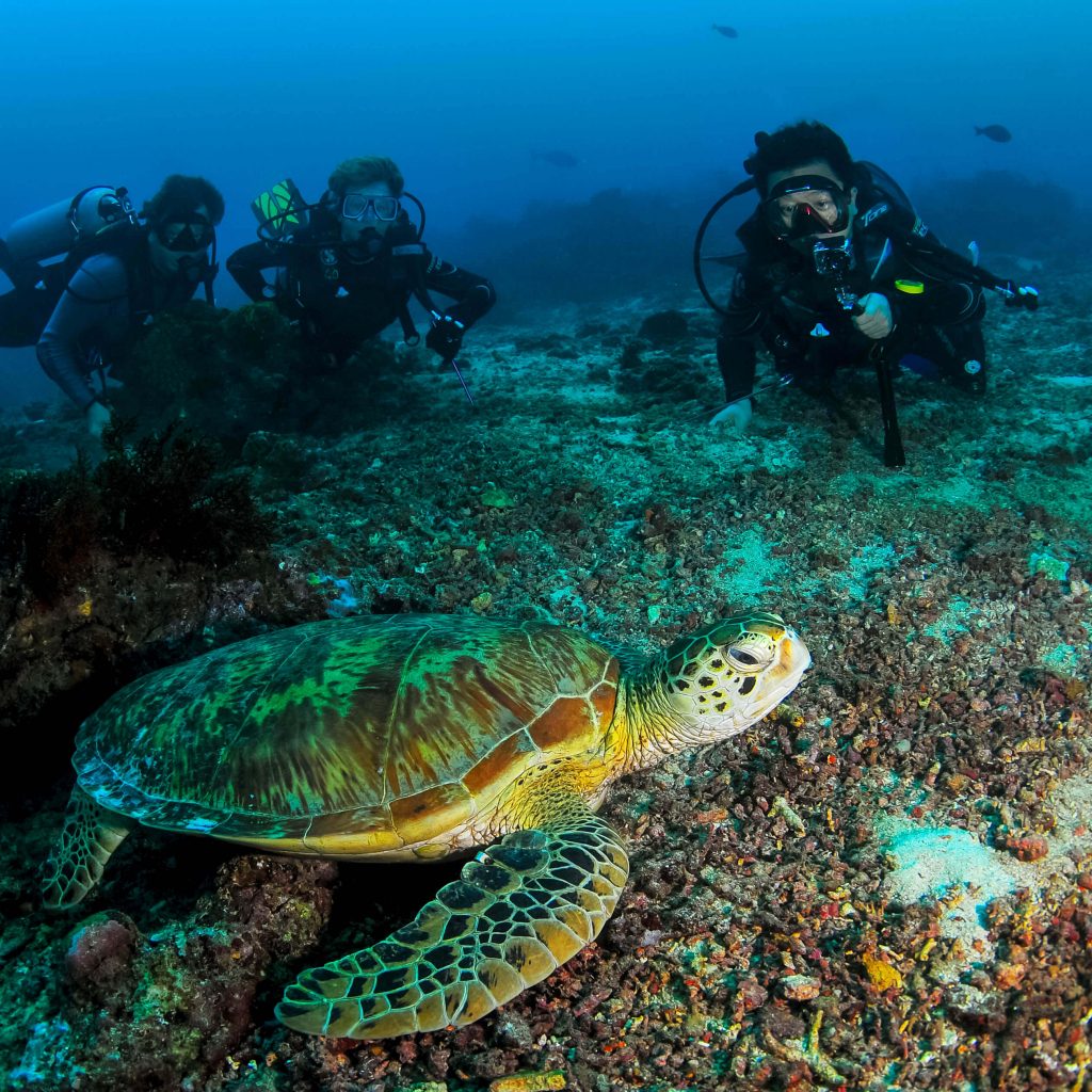 Non-Sipadan Diving Package | Borneo Divers Mabul Resort